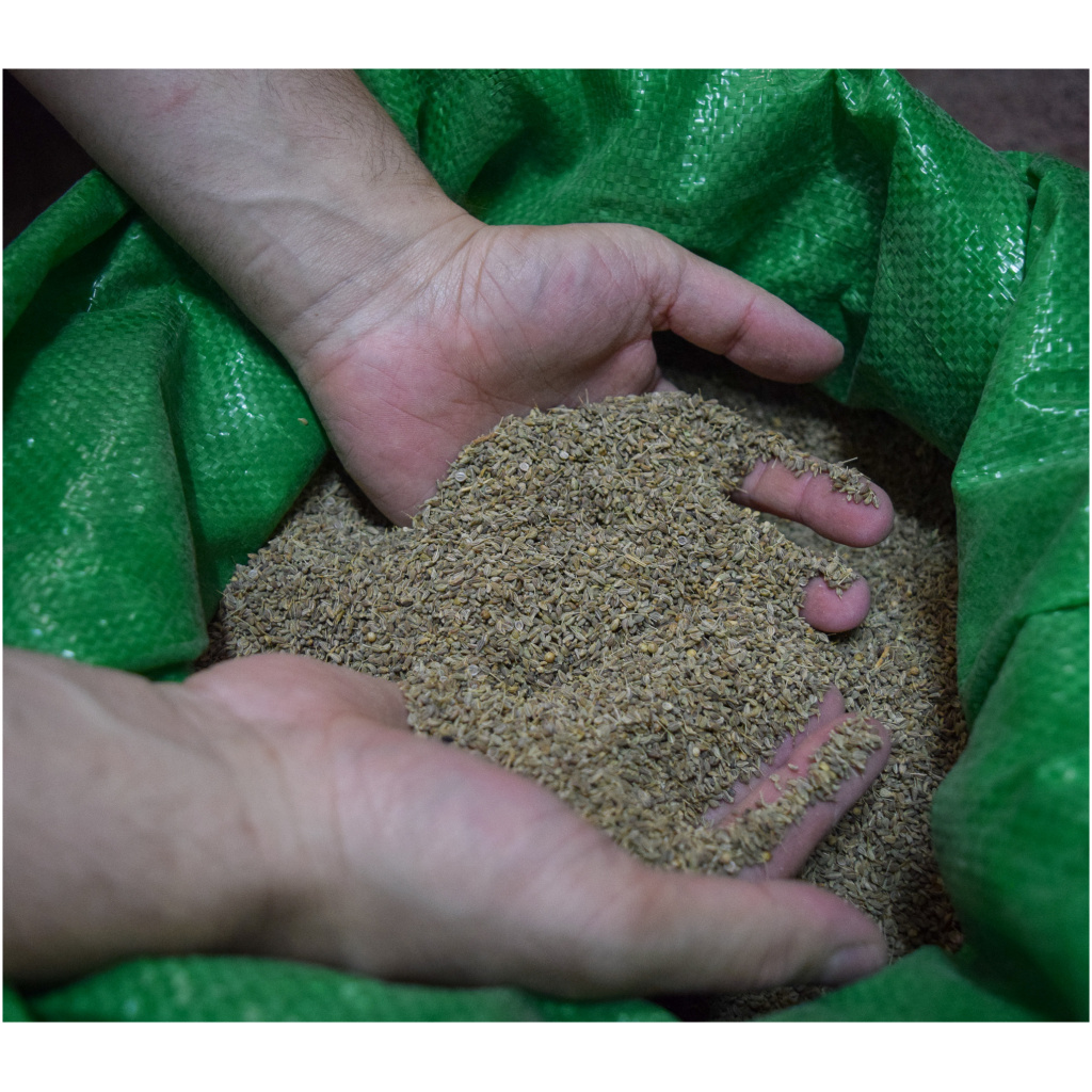 Arak Muaddi - Terra Sancta Trading Company