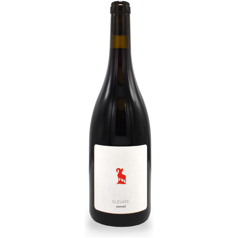 Elevate Marini - Terra Sancta Trading Company